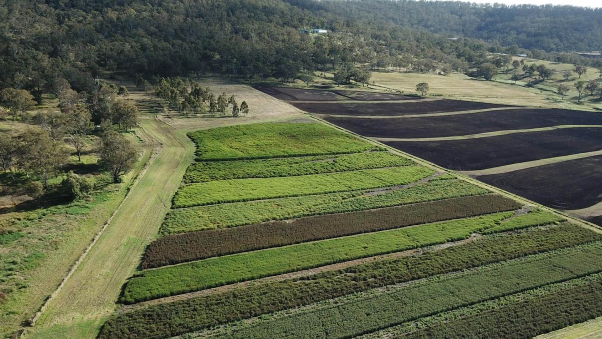 Sustainability - Agrimix